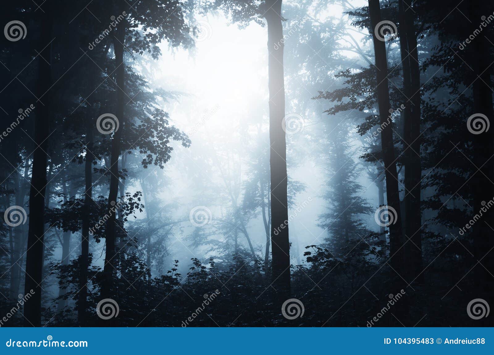 Haunted forest scene stock image. Image of gloomy, enchanted - 104395483
