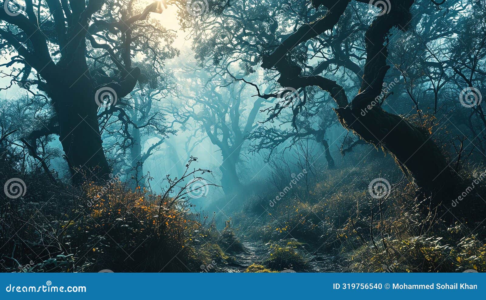 Haunted Forest Wicked Trees Below Dusk Pathway Foggy Landscape ...