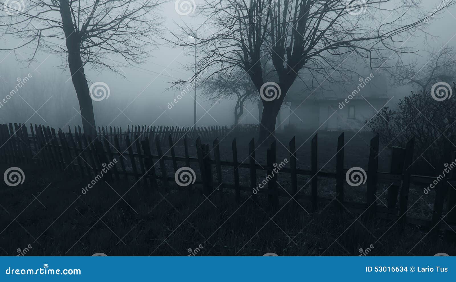 Haunted Horror House in the Mist Stock Photo - Image of frightened ...