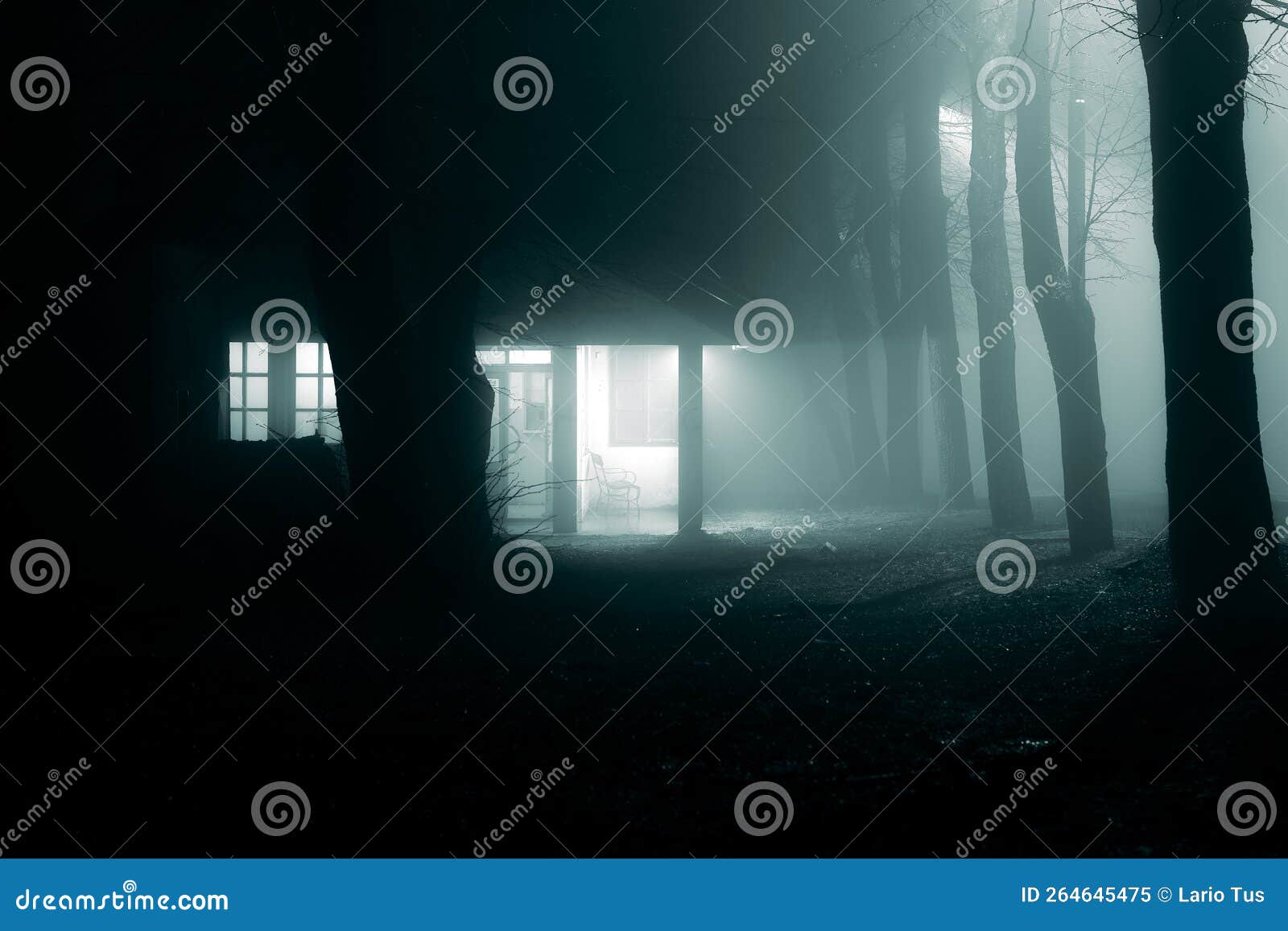 Haunted Horror House in the Misty Forest at Night Stock Image - Image ...