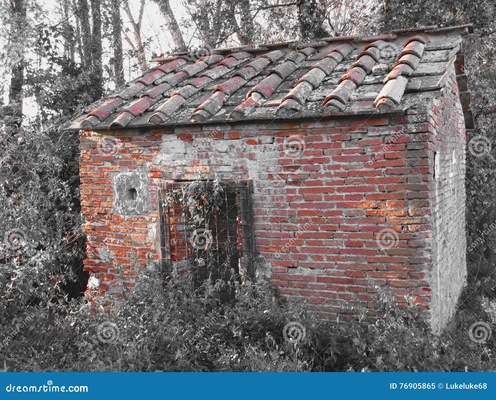 Haunted Horror House. Old Haunted House In The Woods With Evil Spirits ...