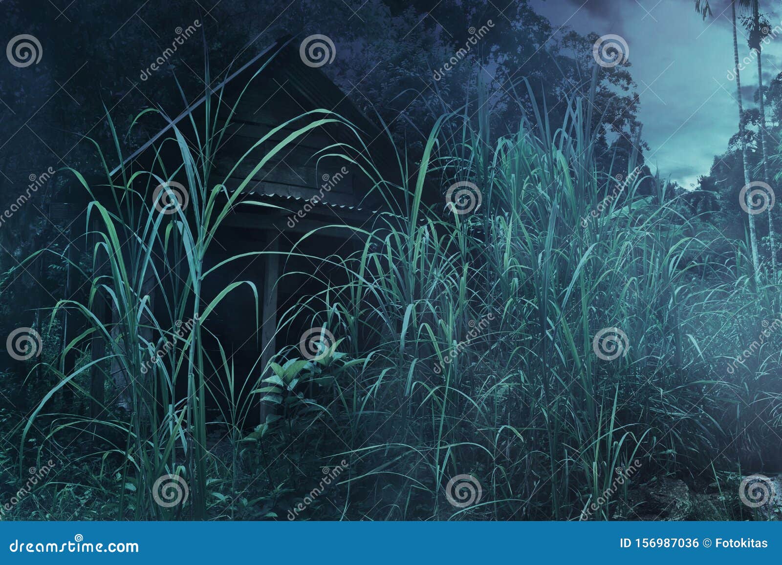 Haunted House in the Forest Stock Photo - Image of haunted, fantasy ...