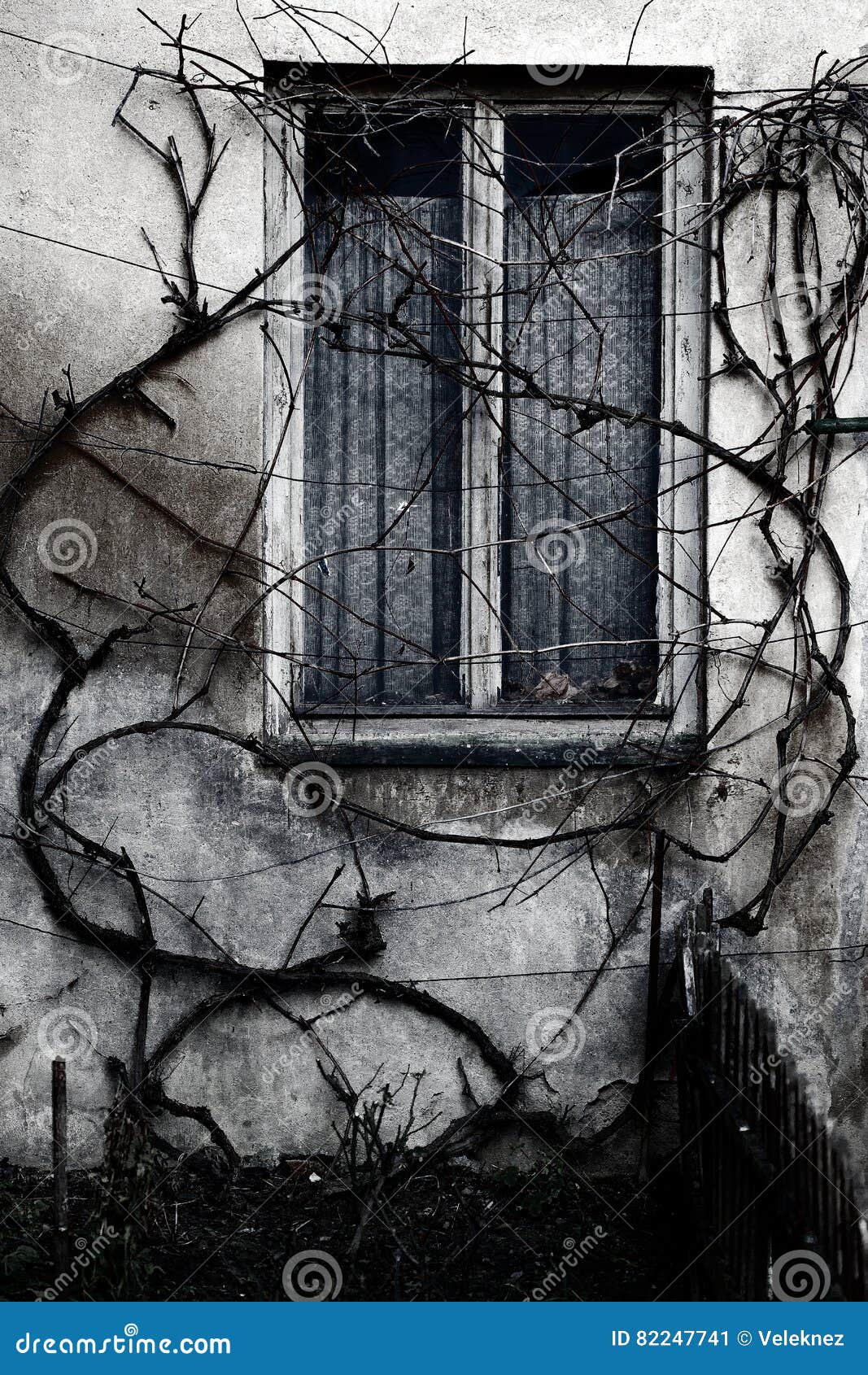 Haunted House with Scary Windows. Stock Image - Image of dangerous ...