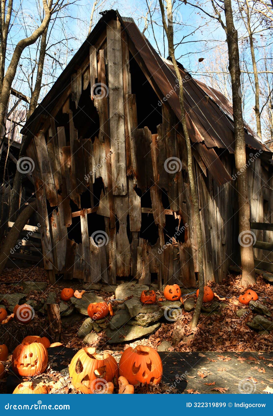 A Shack among the Trees stock image. Image of doorway - 322319899