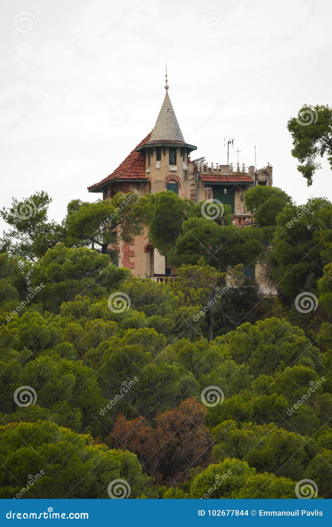 Haunted Tower in a Pine Tree Forest. Stock Photo - Image of stones ...