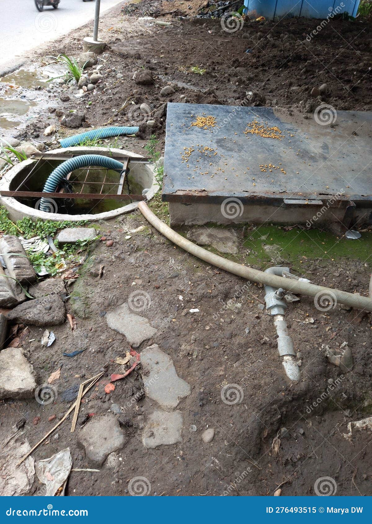 Haunted Well beside the Road Stock Image - Image of forest, wall: 276493515