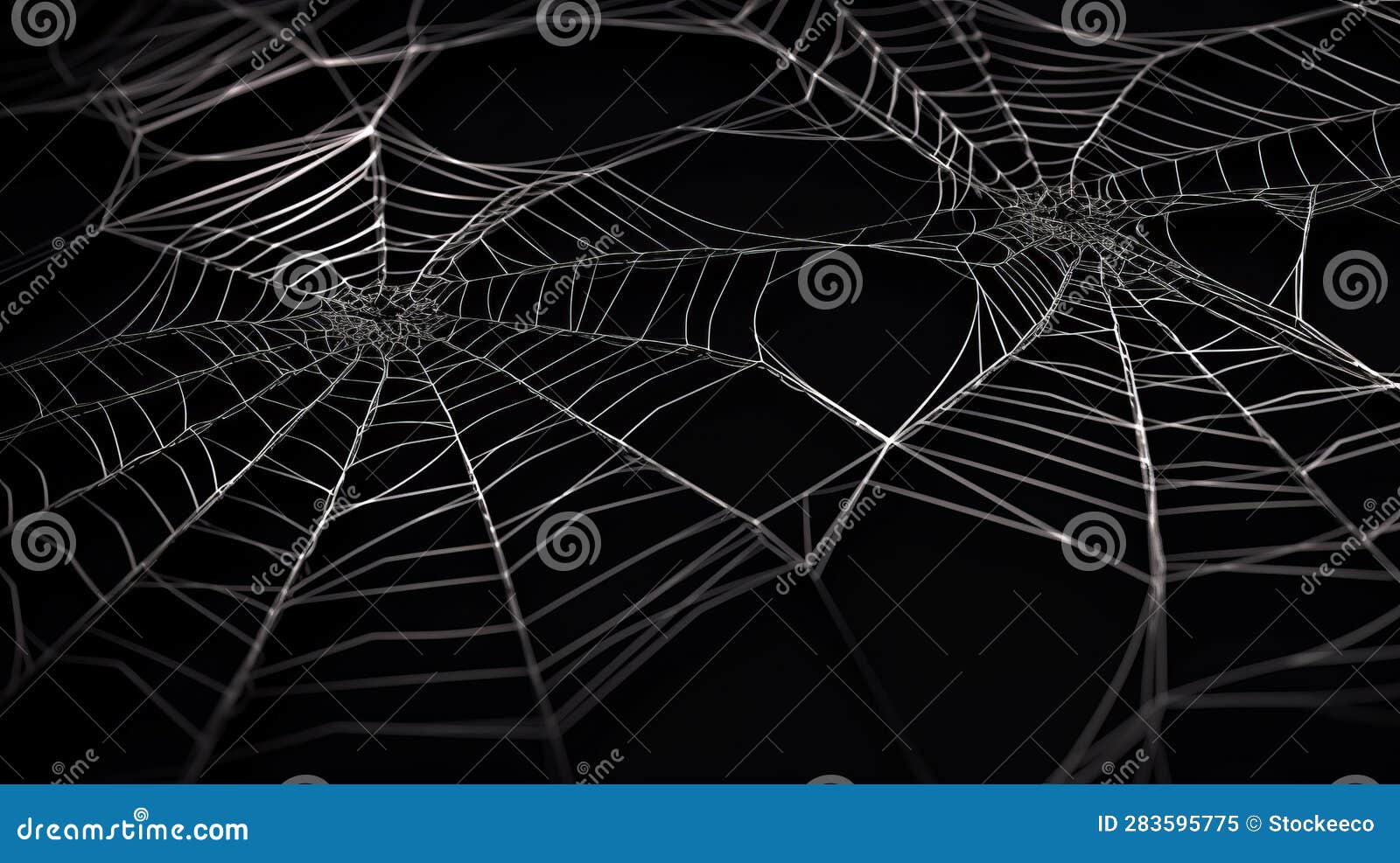 Haunting Black and White Spider Web on Silver Background Stock ...