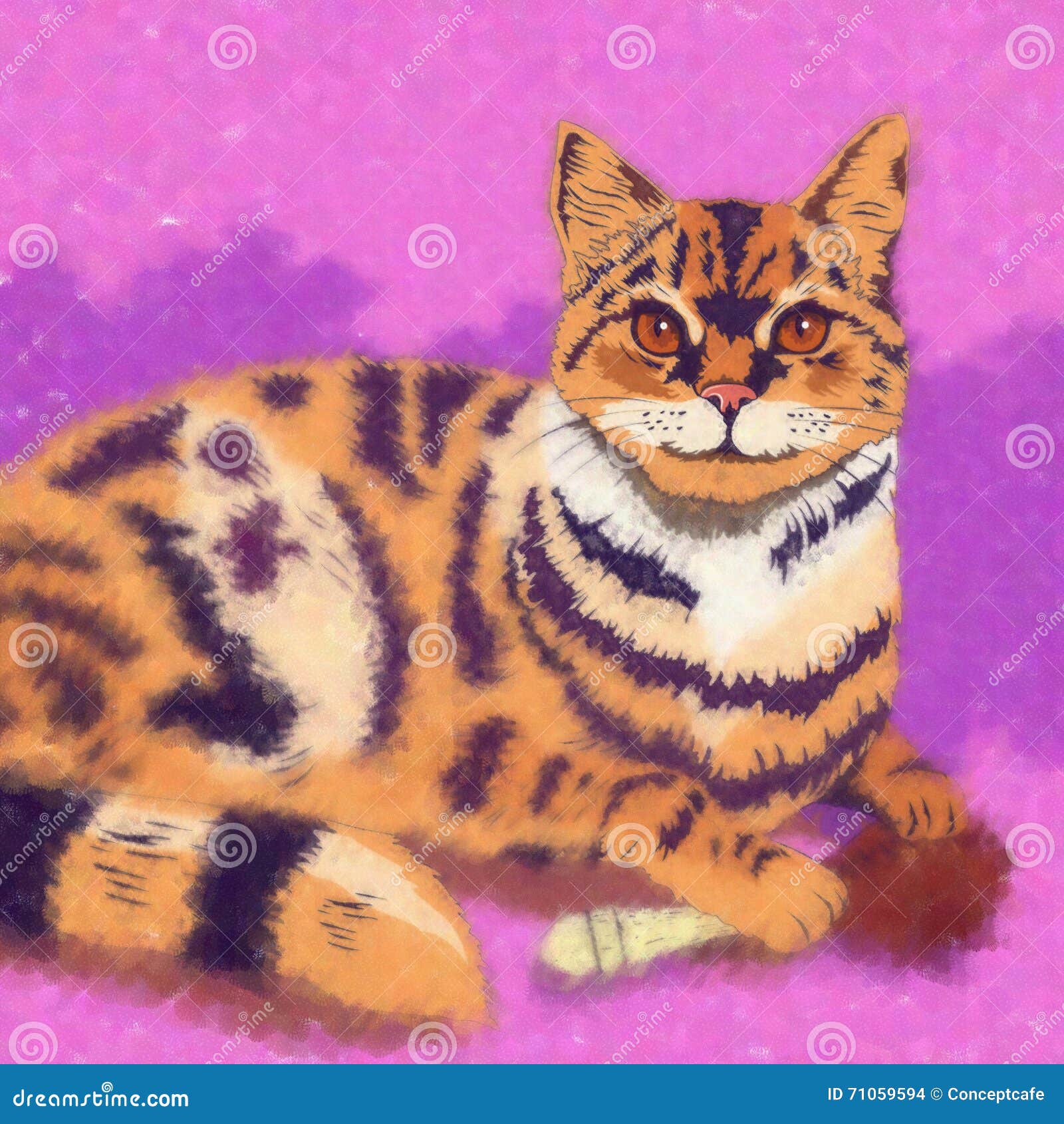 Haus Cat Illustration stock abbildung. Illustration von lack - 71059594