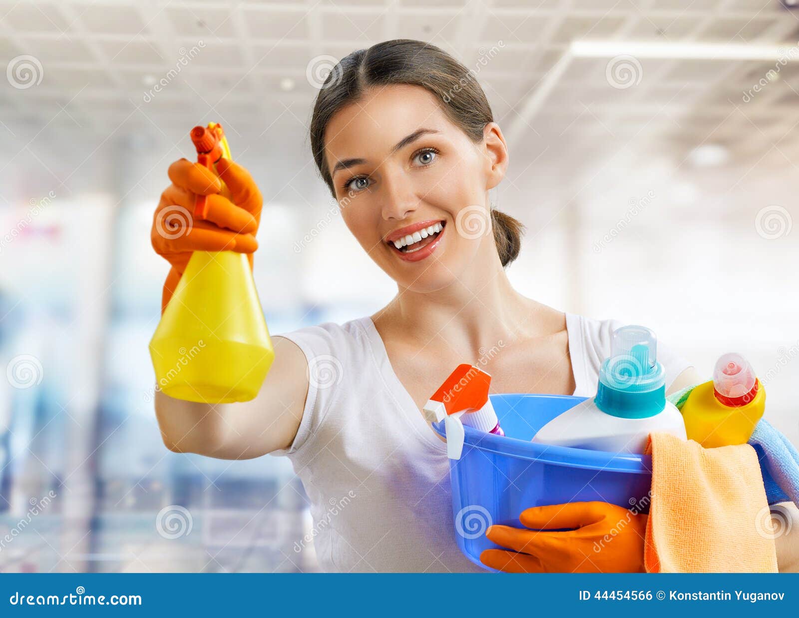 Hausfrau stockfoto. Bild von person, leute, reinigungsmittel - 44454566