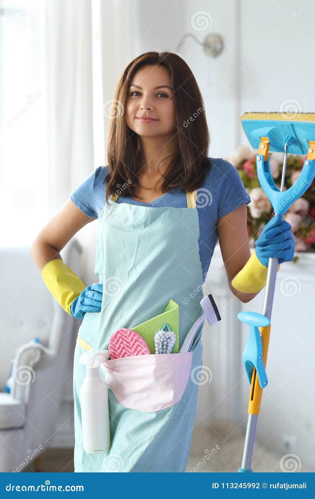 Haushalt stockfoto. Bild von schön, fachmann, hausarbeit - 113245992