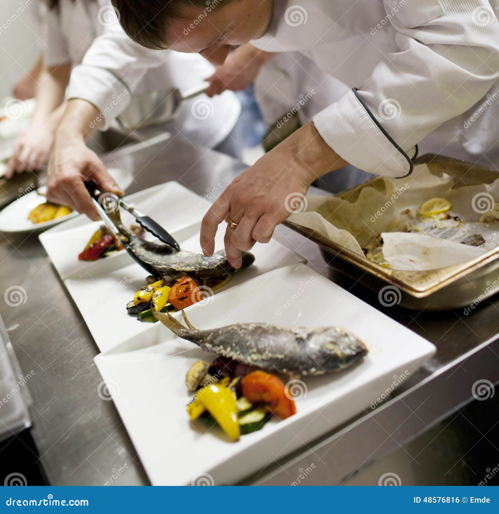 Haute cuisine stock photo. Image of decoration, cooking - 48576816