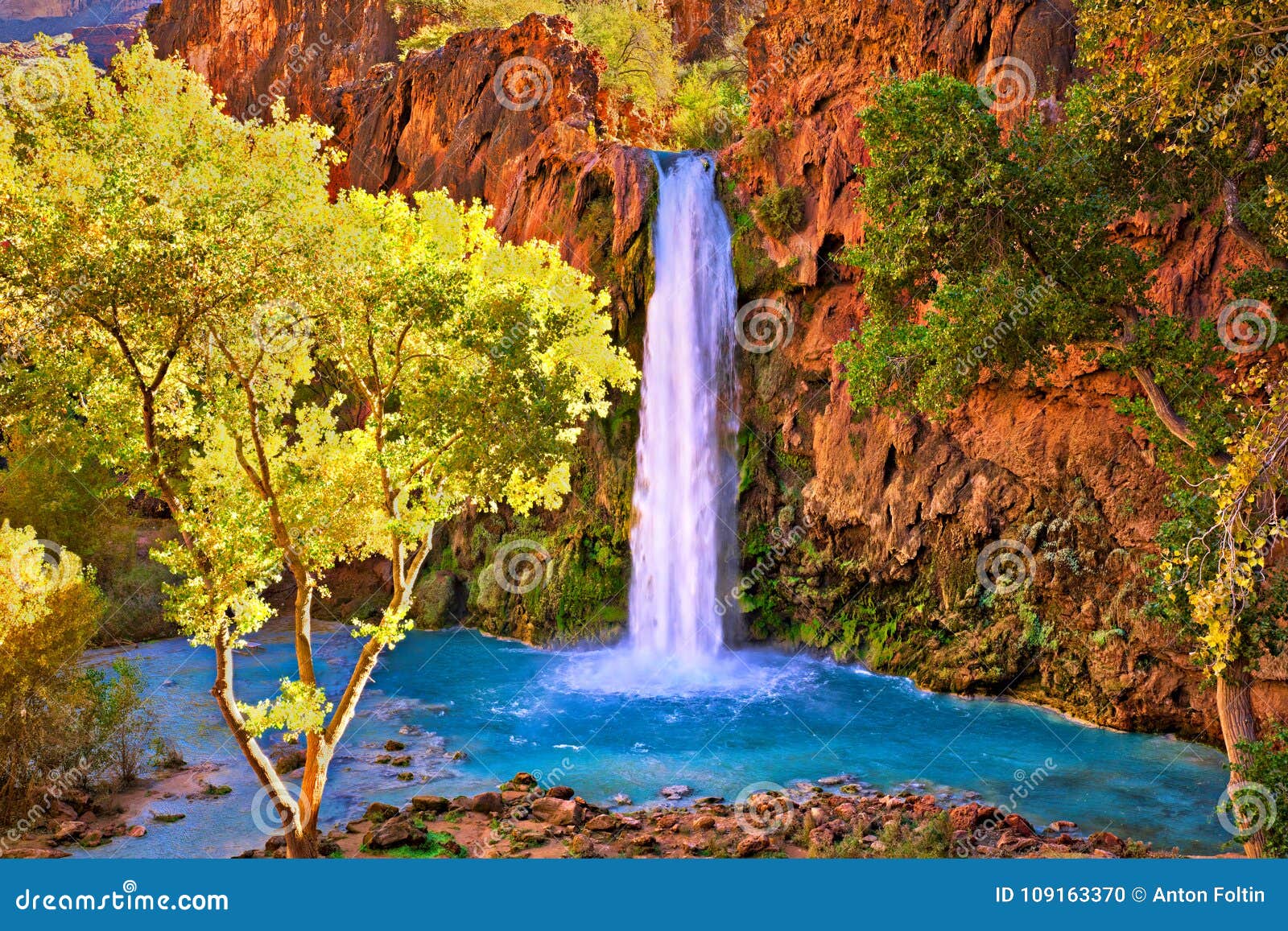 Havasu Falls stock photo. Image of falls, yucca, dusk - 109163370