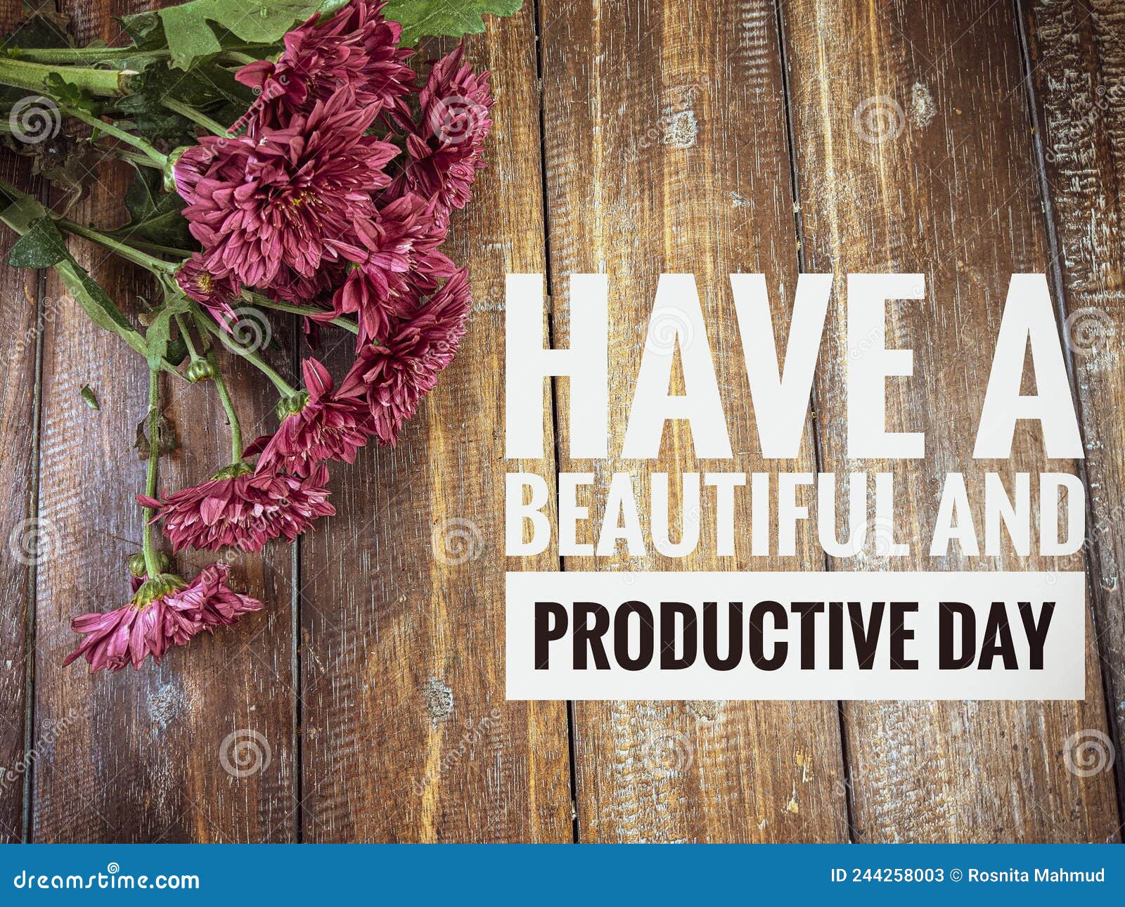 Have a Beautiful and Productive Day Stock Image - Image of productive ...