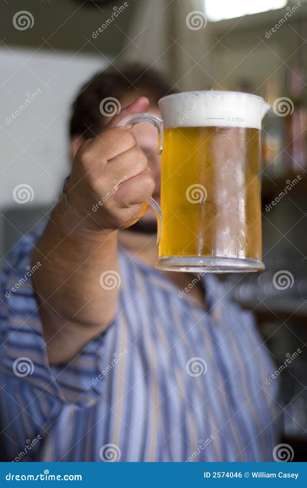 Have a beer stock photo. Image of drinking, alchol, frosty - 2574046