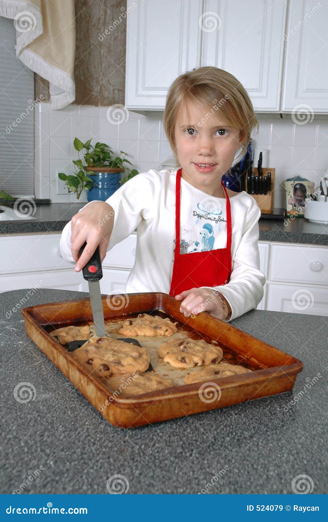 Have a cookie stock image. Image of design, bake, eyes - 524079