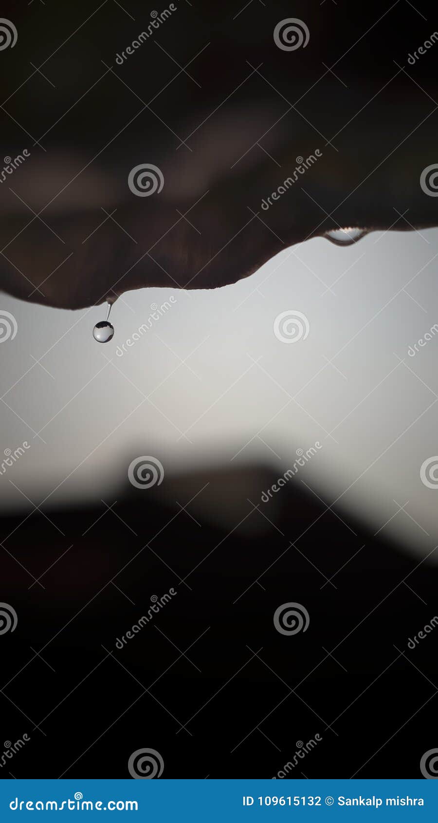 Have a Deep Look..on that Drop. Stock Photo - Image of convex, water ...