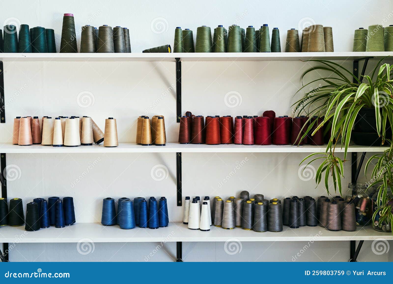 We Have Every Possible Shade You Can Think of. Spools of Thread on a ...