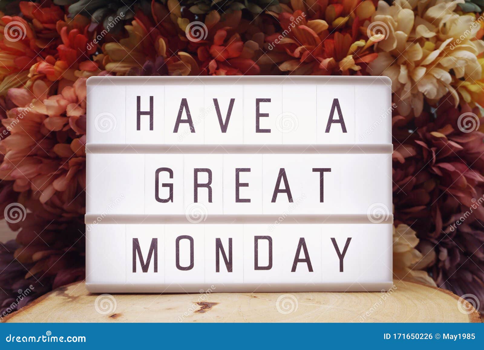 Have a Great Monday Text in Light Box Stock Photo - Image of coffee ...