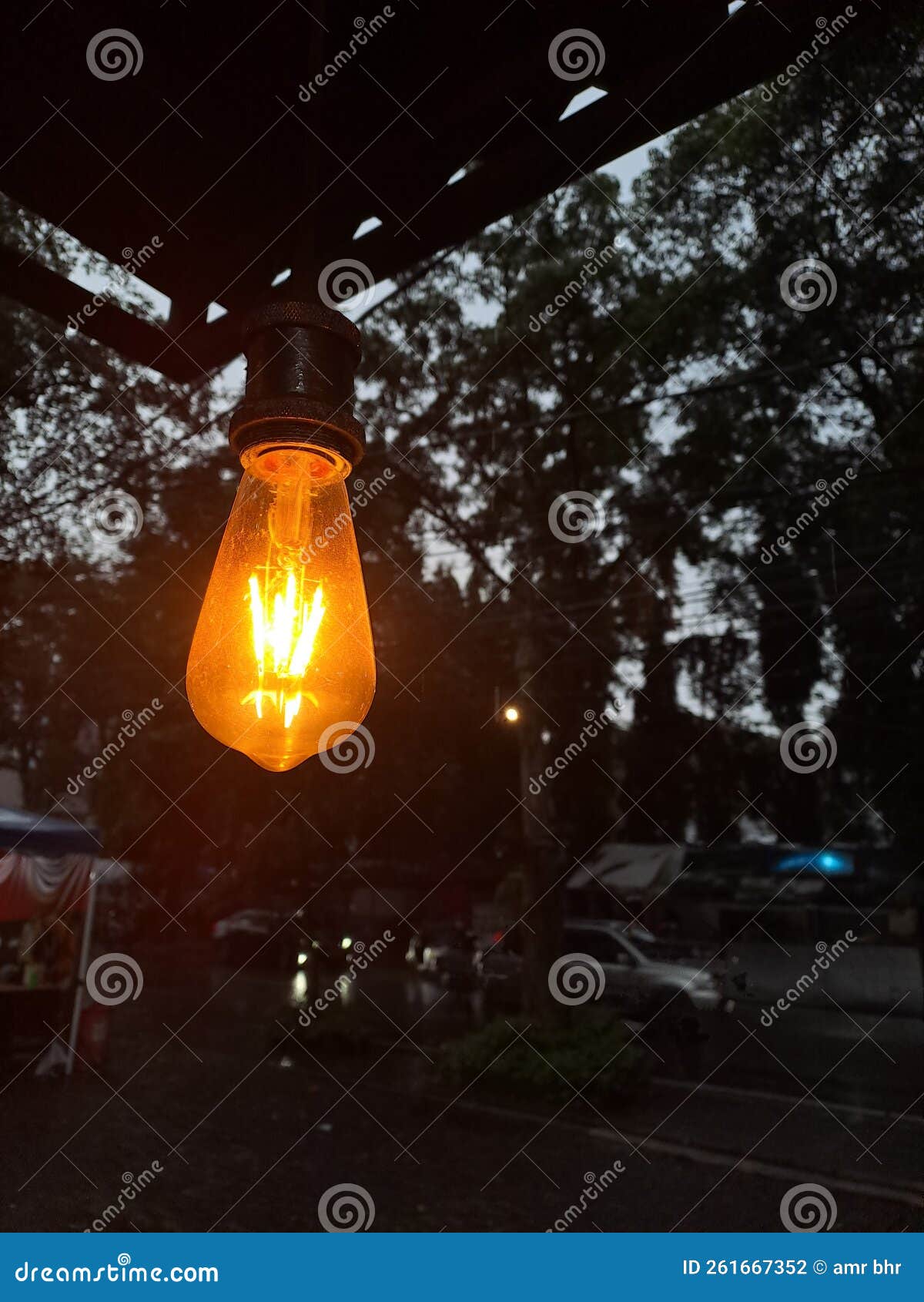 Always Have Light in the Dark Stock Photo - Image of light, tree: 261667352