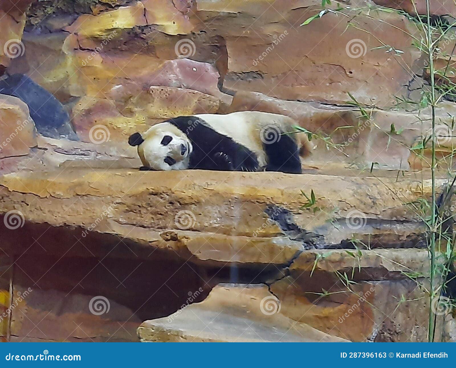 Have a nice dream stock image. Image of rock, reflection - 287396163