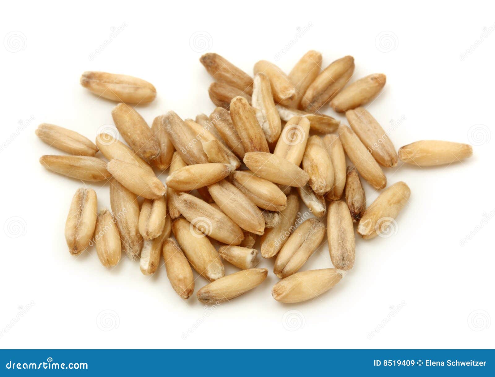 Haver stock afbeelding. Image of eten, vegetariër, geïsoleerd - 8519409