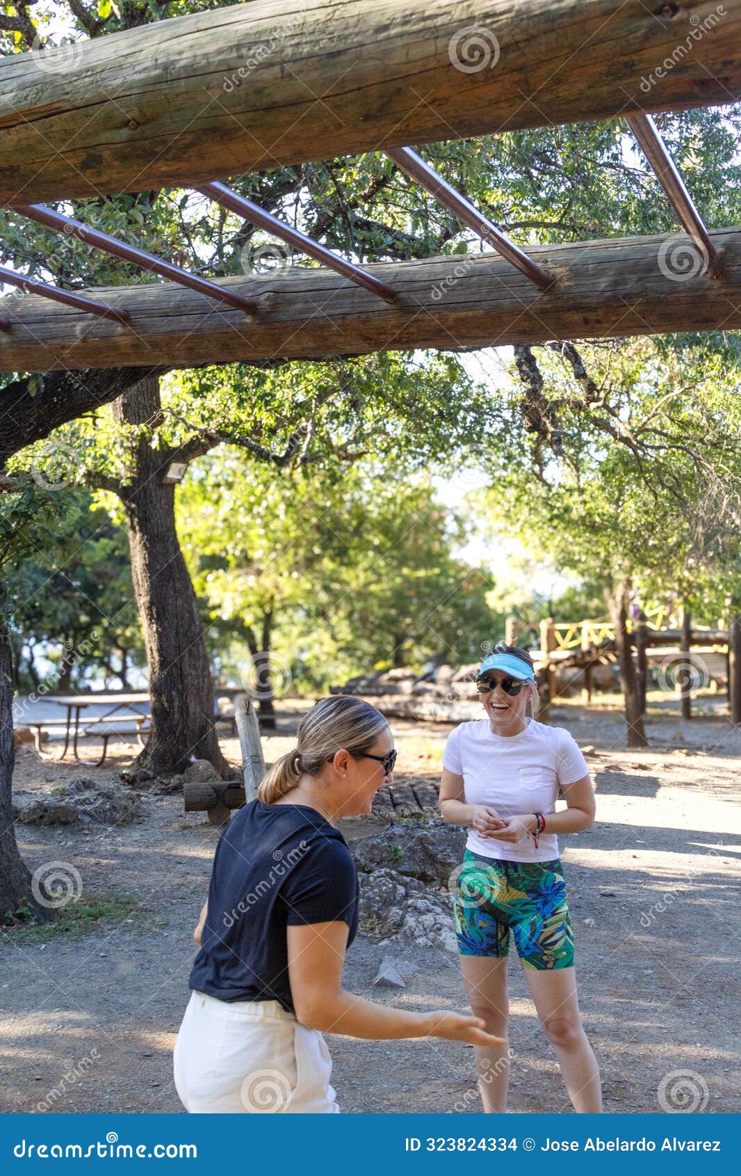 Having Fun Falling because we Can T Reach the End of the Goal Stock ...