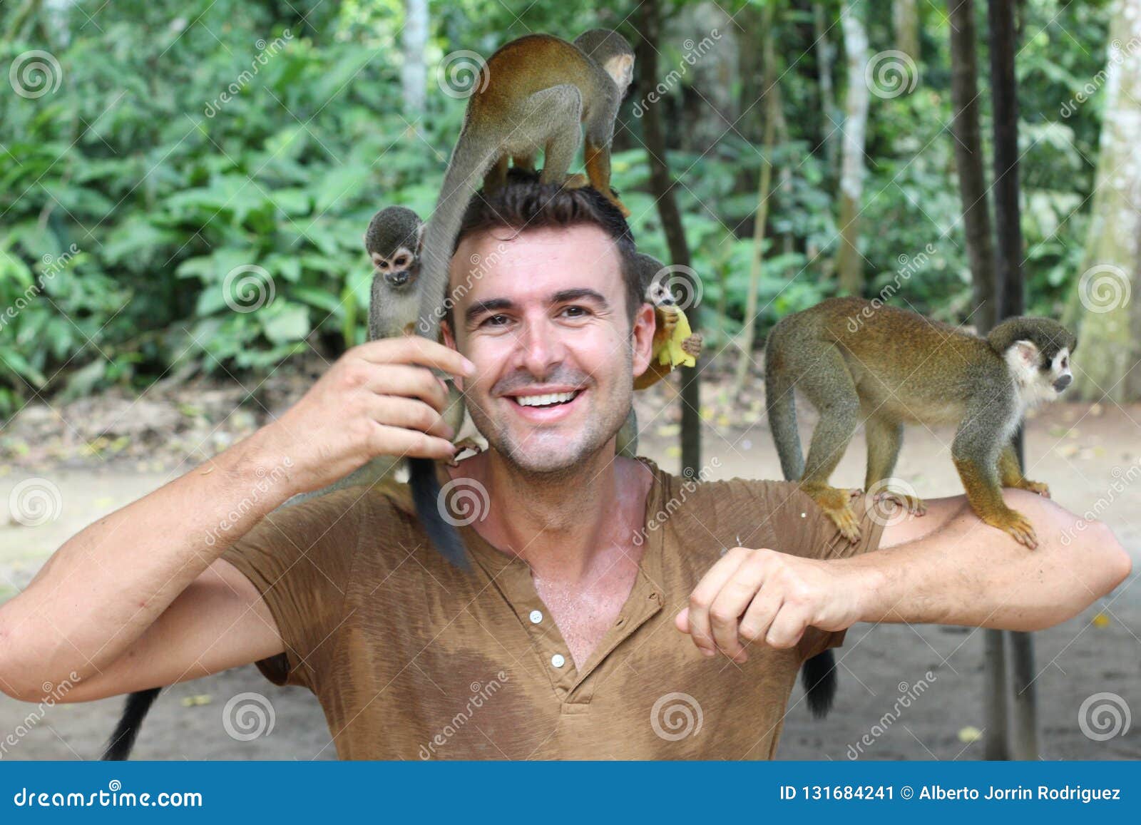 Having Fun with a Group of Monkeys Stock Image - Image of mammal ...