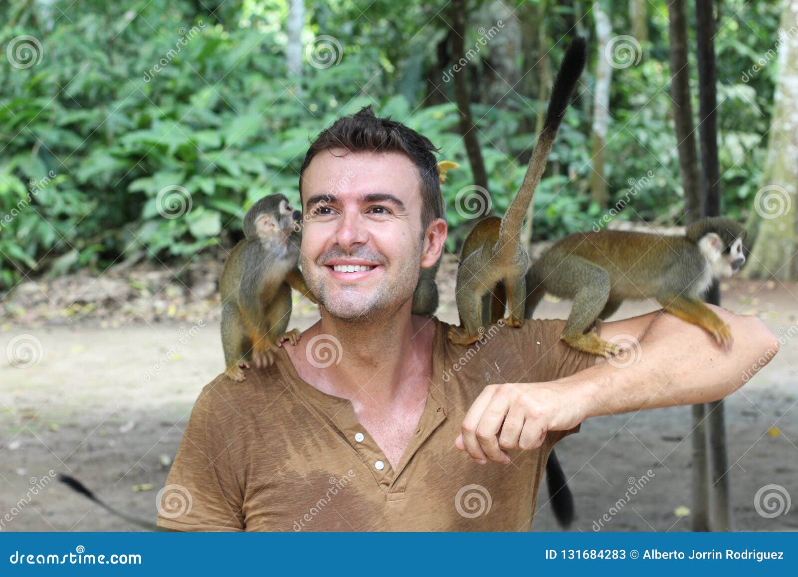 Having Fun with a Group of Monkeys Stock Image - Image of expression ...