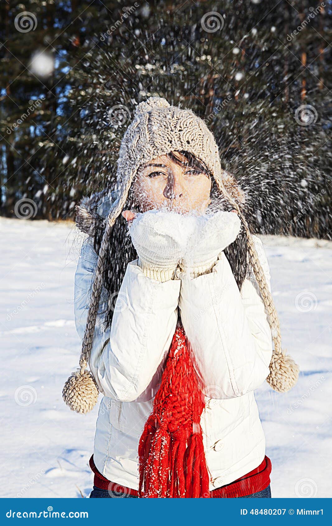 Having fun in winter scene stock image. Image of agile - 48480207