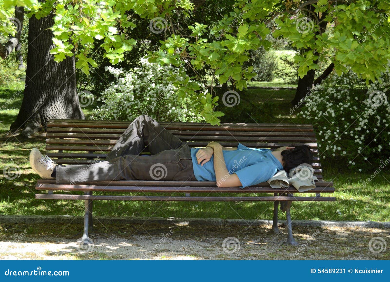 Having a nap stock image. Image of park, leave, young - 54589231