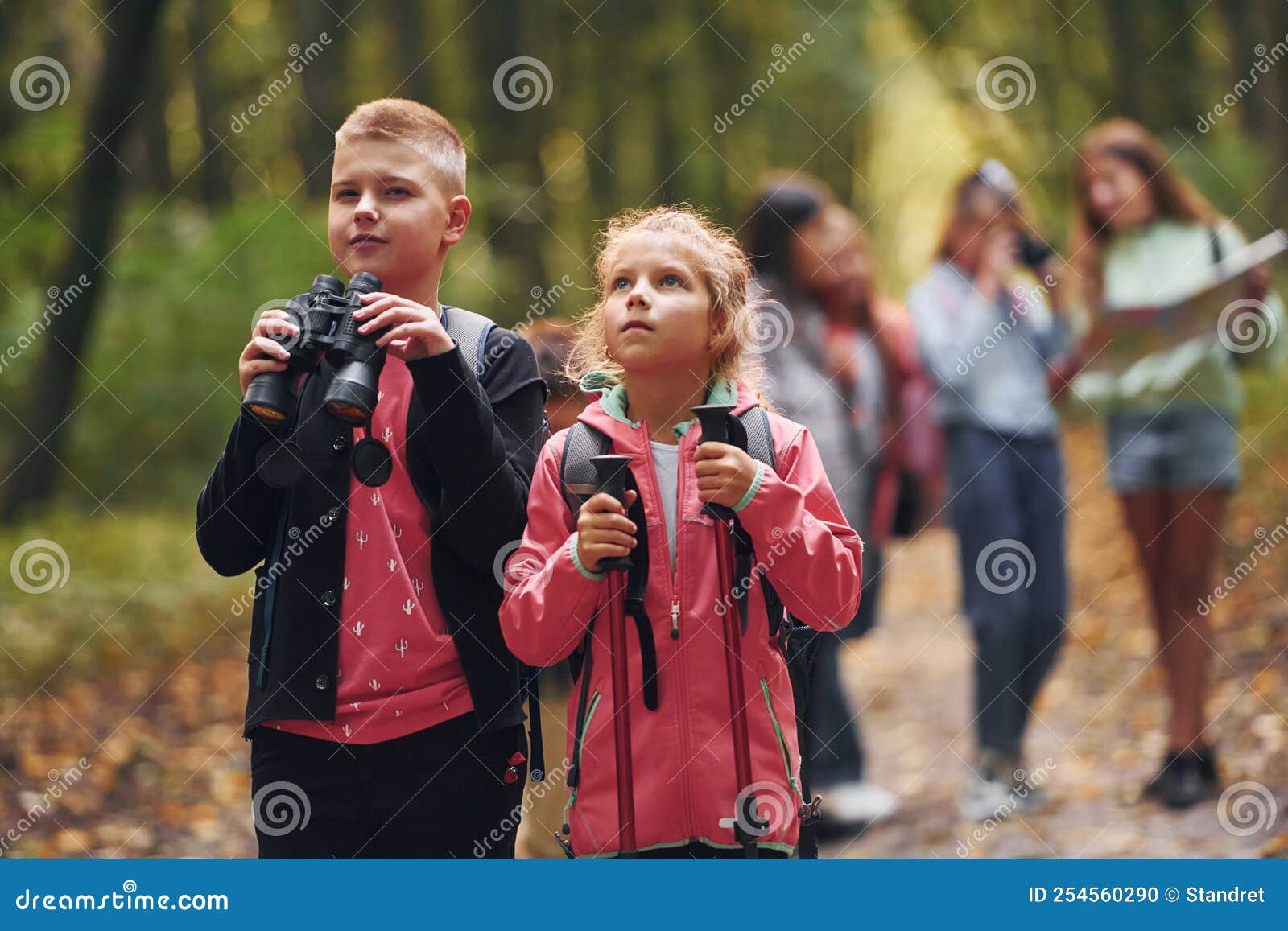 Having a Walk. Kids in Green Forest at Summer Daytime Together Stock ...