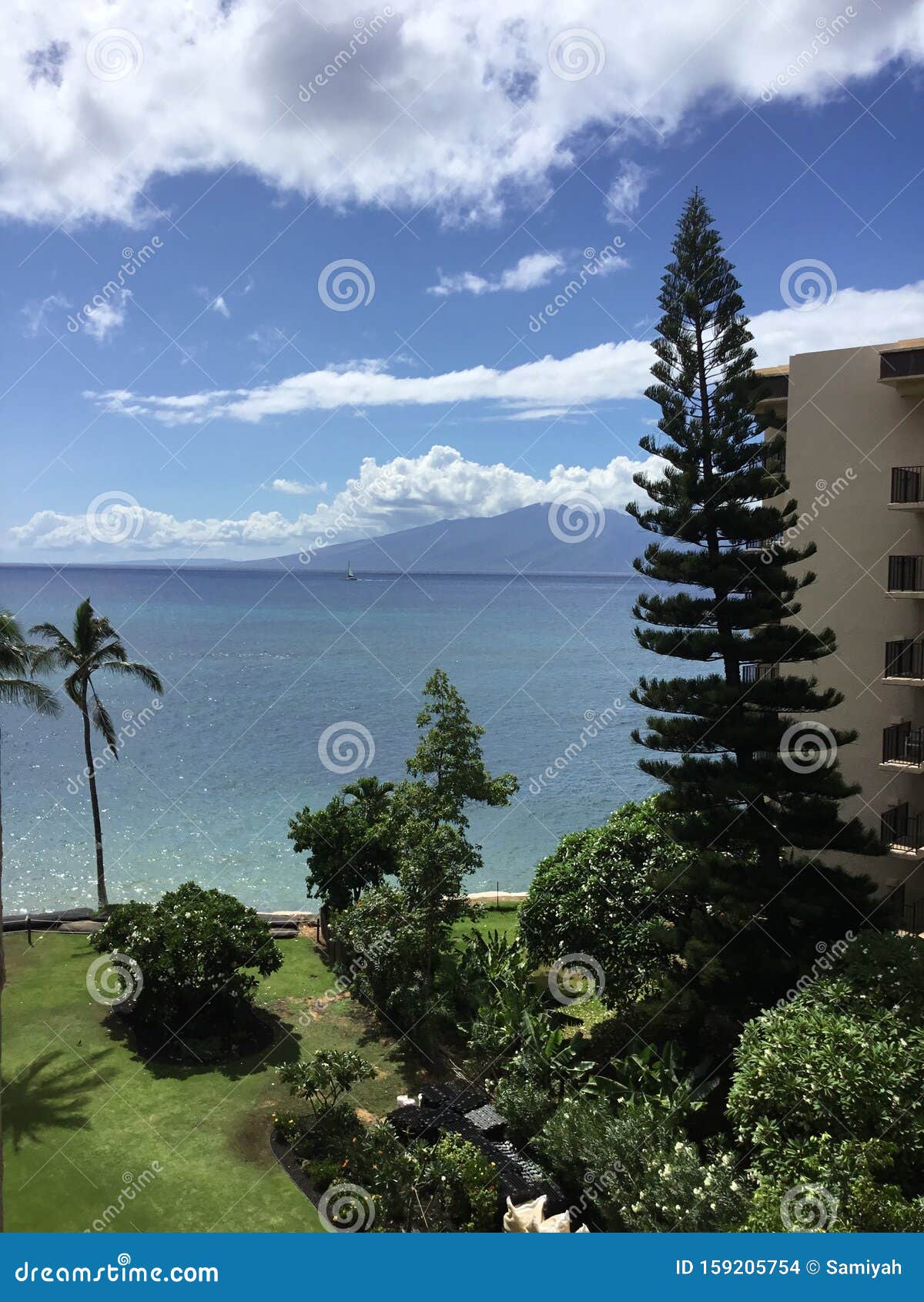 Hawaiâ€™i stock photo. Image of sunny, hawai, hawaii - 159205754