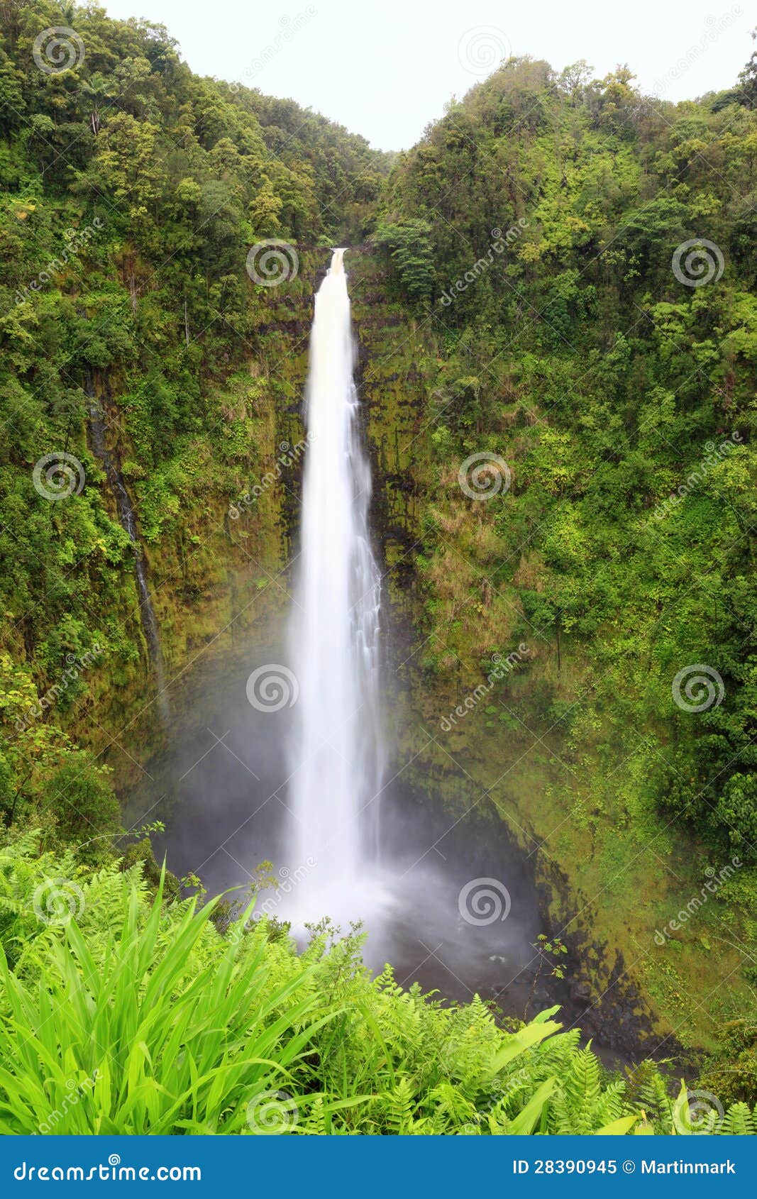 Hawaii Akaka Falls - Hawaiian Waterfall Stock Image - Image of landmark ...