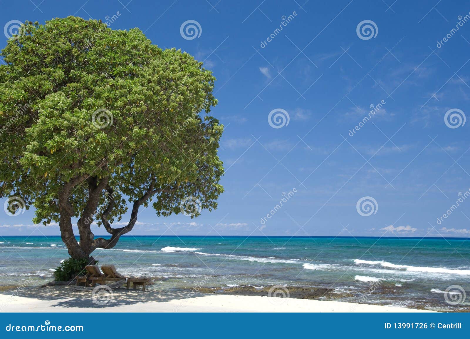 Hawaii Beach Scene stock photo. Image of sandy, ocean - 13991726
