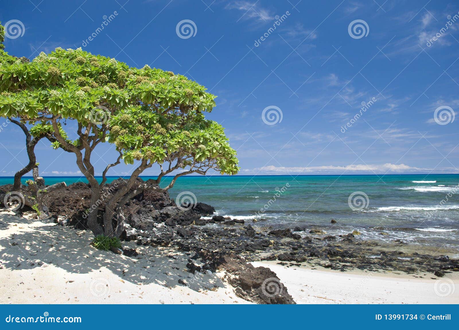 Hawaii Beach Scene stock photo. Image of sand, chairs - 13991734