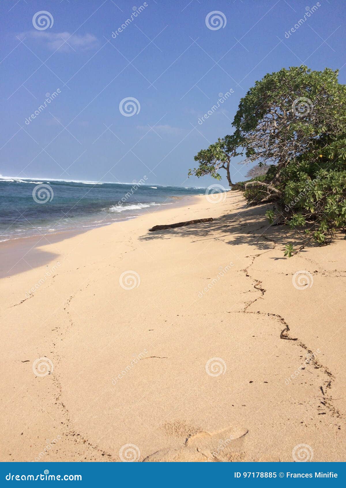Hawaii Beach Scene stock image. Image of scene, hawaii - 97178885