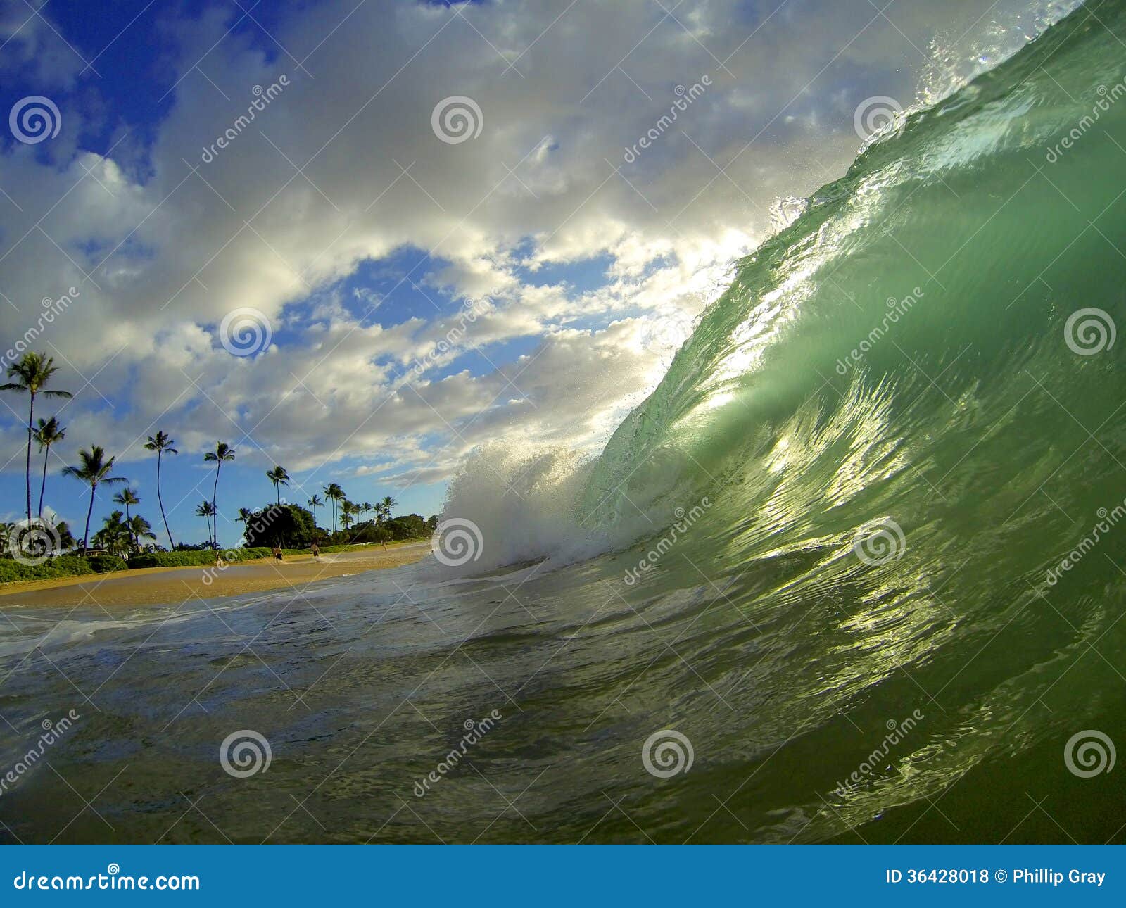 Hawaii Beach Waves stock photo. Image of wave, water - 36428018