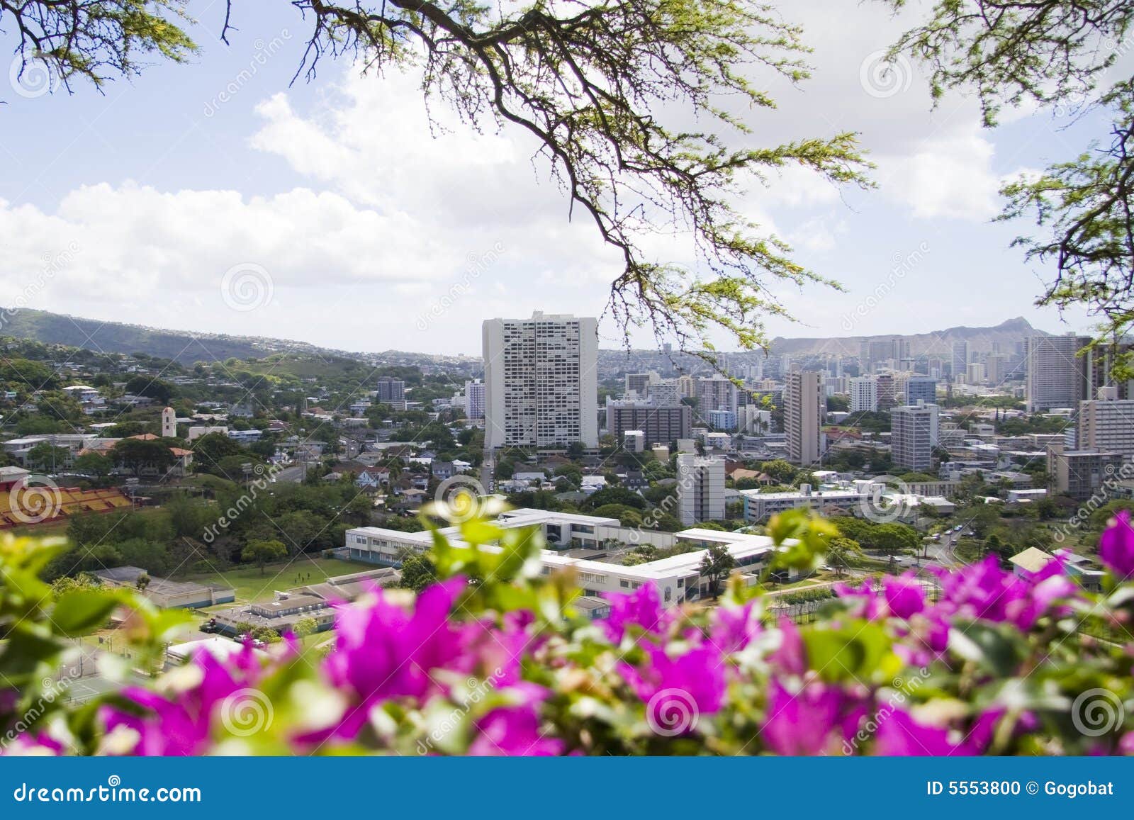 Hawaii city stock photo. Image of house, market, estate - 5553800