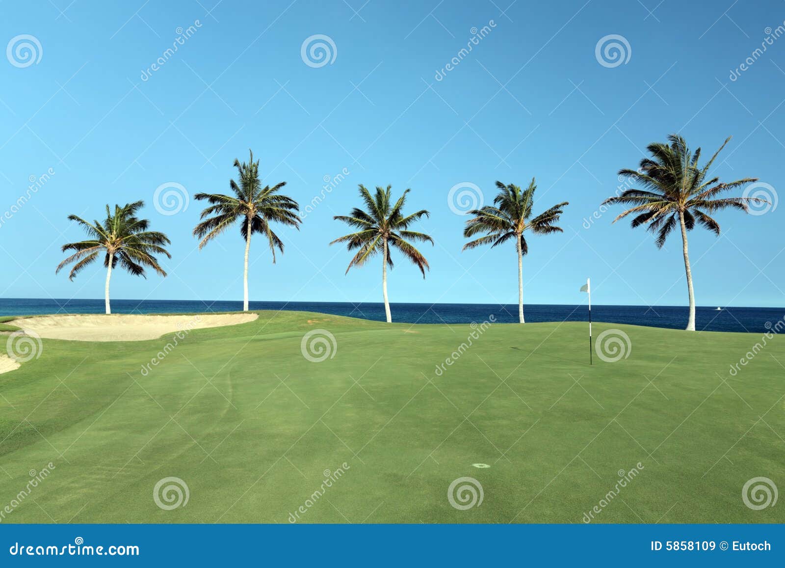 Hawaii Golf Course stock image. Image of holiday, island - 5858109
