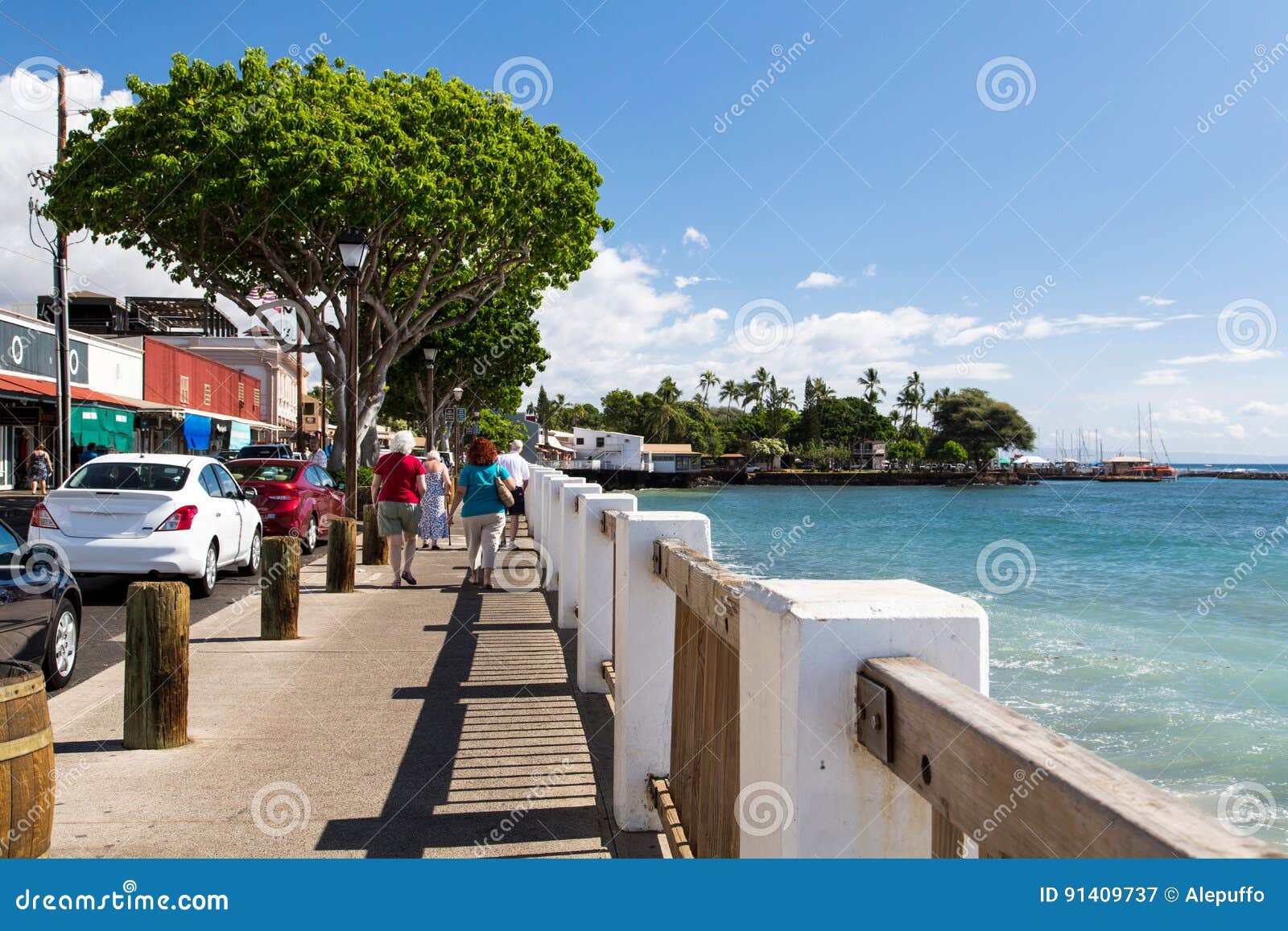 Hawaii - Maui editorial photography. Image of tourism - 91409737