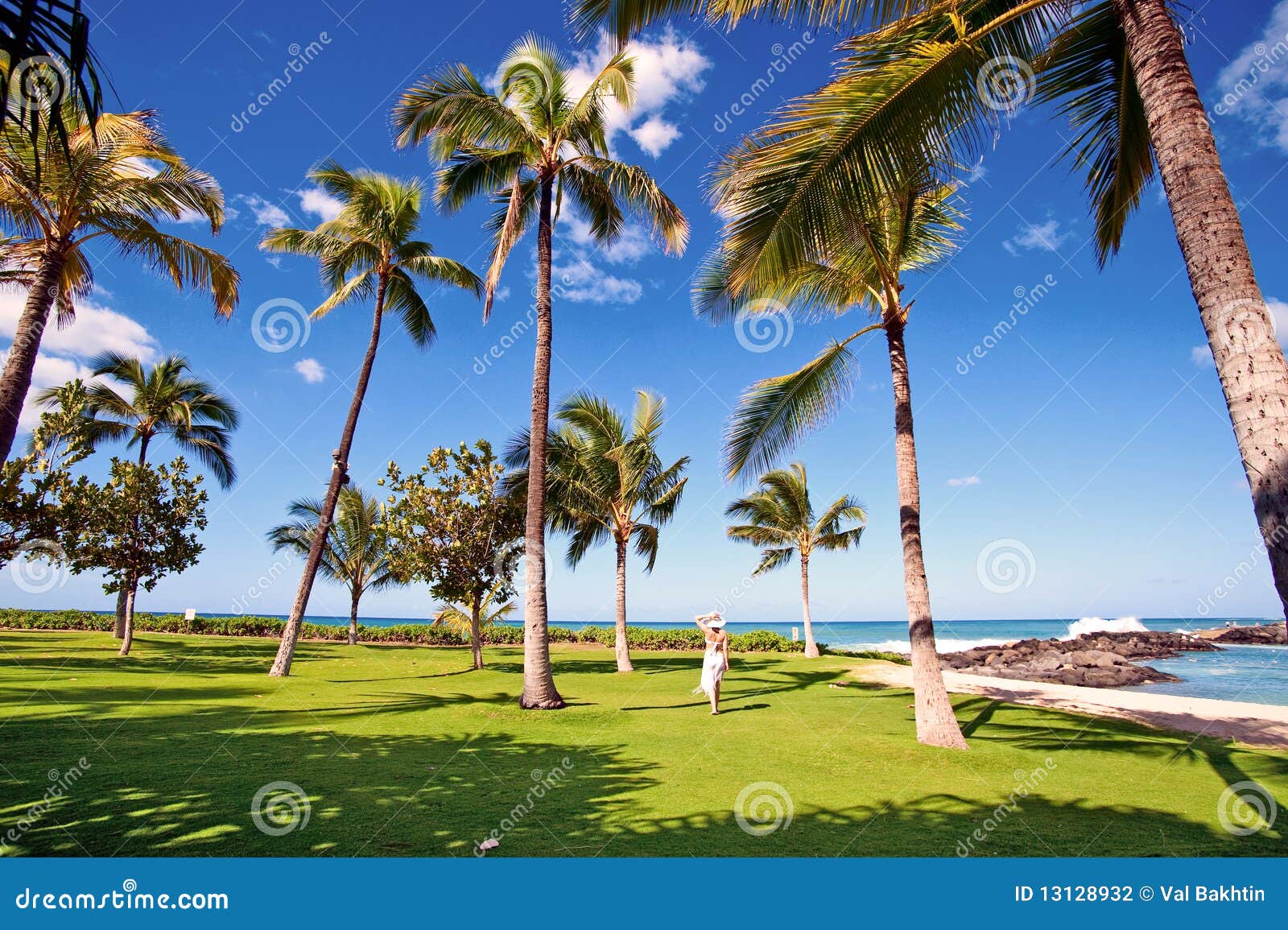 Hawaii, Oahu stock photo. Image of island, polynesia - 13128932