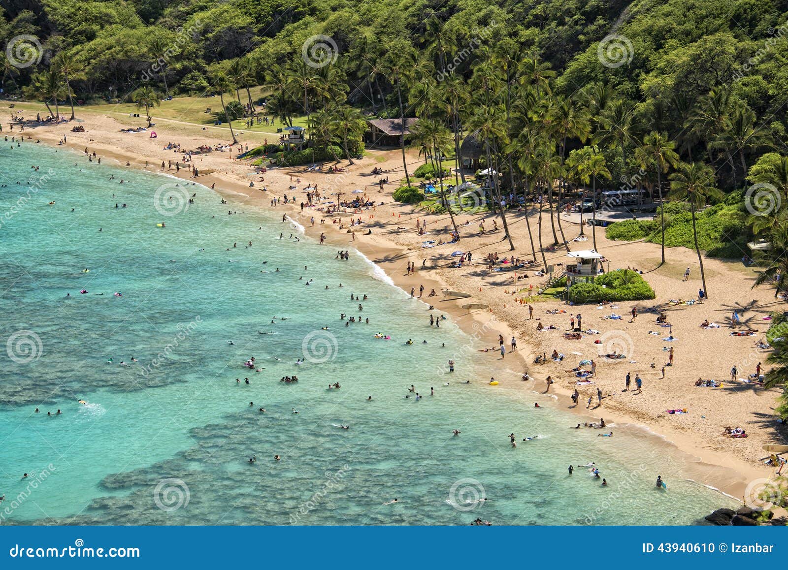 Hawaii Oahu Hanauma Bay View Stock Photo - Image of park, ocean: 43940610
