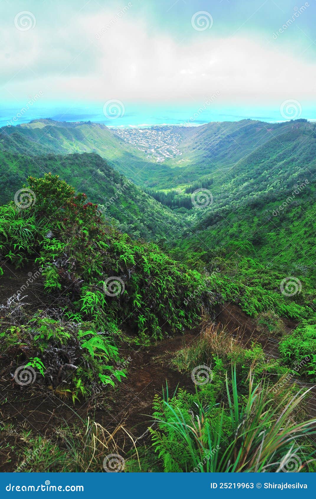 Hawaii Ridge Hike stock image. Image of travel, vacation - 25219963