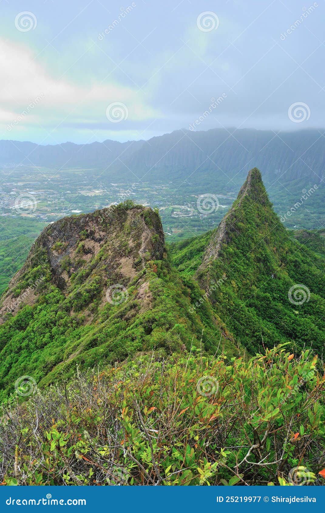 Hawaii Ridge Hike stock image. Image of tropical, vegetation - 25219977