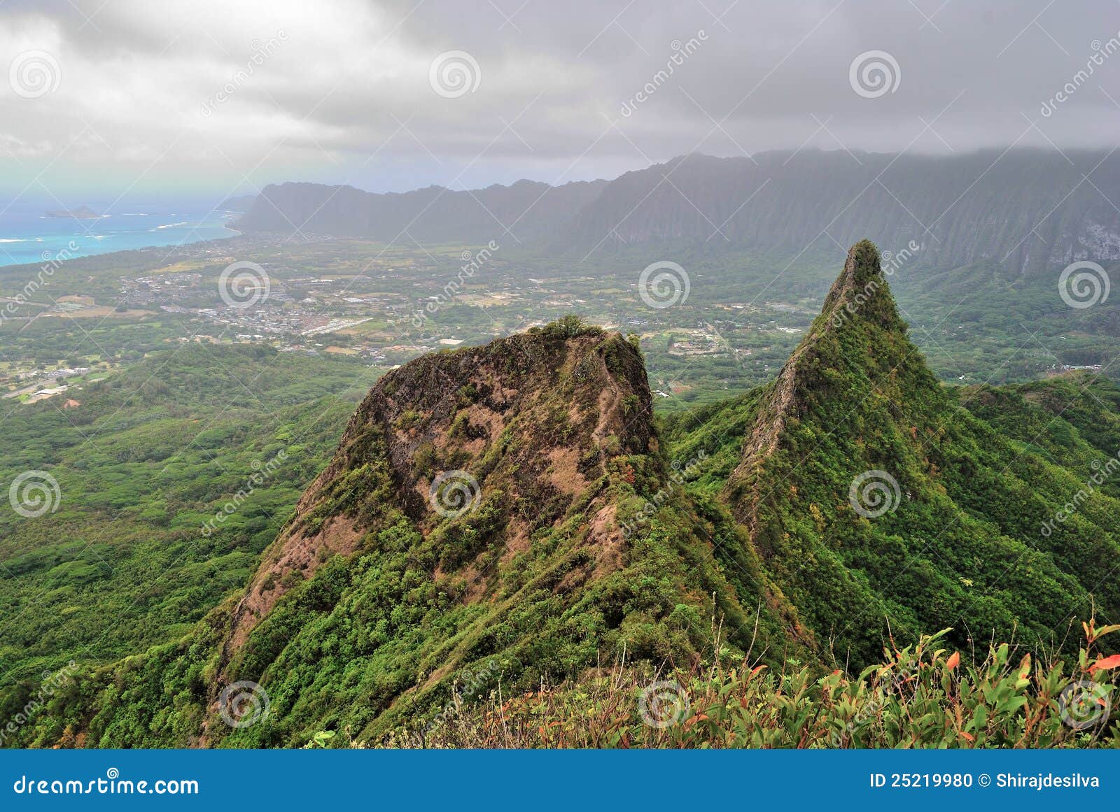 Hawaii Ridge Hike stock photo. Image of tropics, hawaii - 25219980
