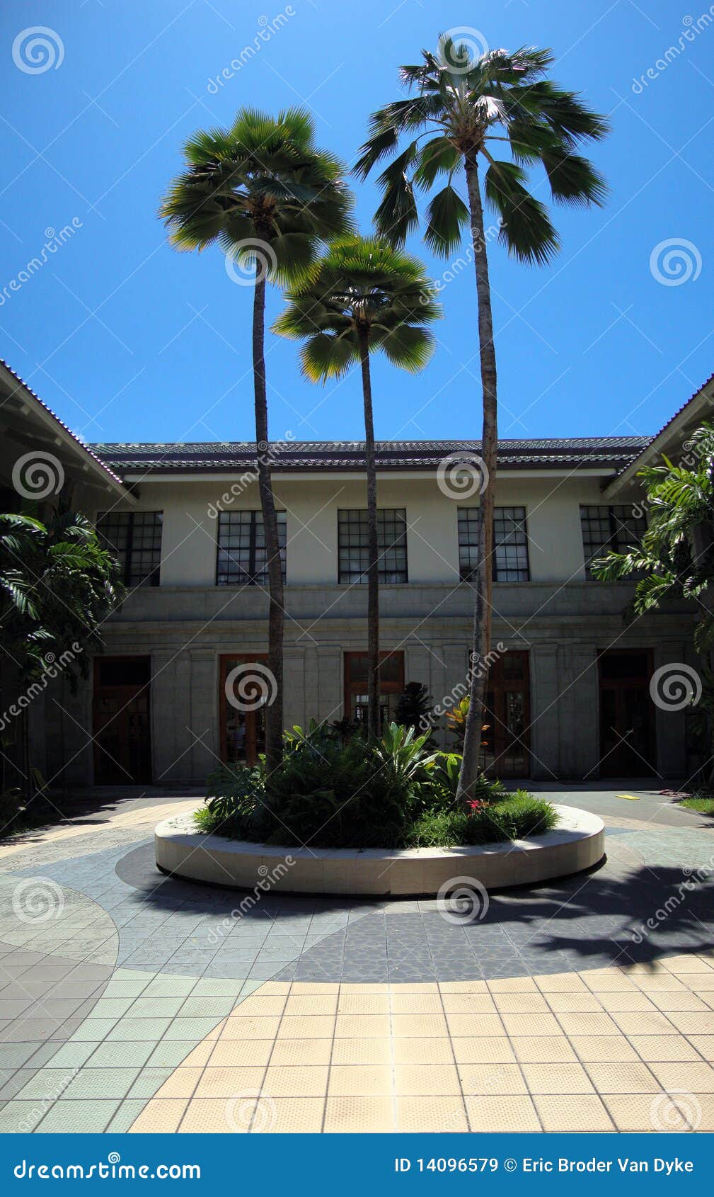 Hawaii State Library Courtyard Stock Image - Image of education ...