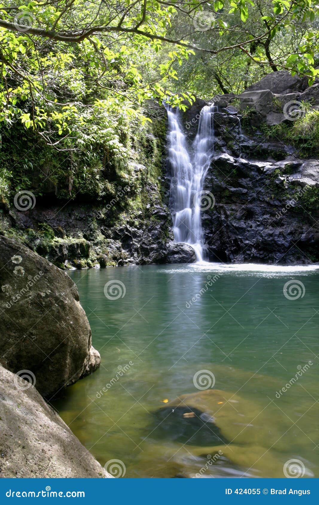 Hawaii Waterfall #1 stock image. Image of calm, peace, tropical - 424055