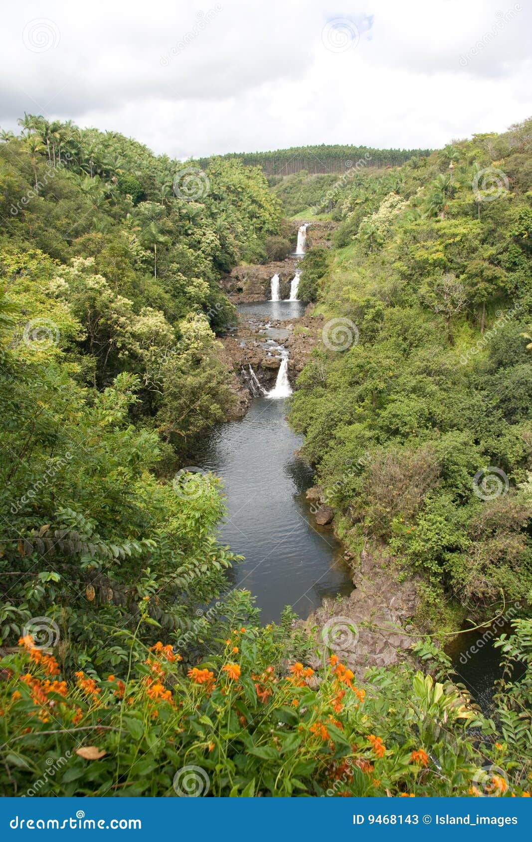 Hawaii Waterfall and Valley 1 Stock Image - Image of flow, river: 9468143