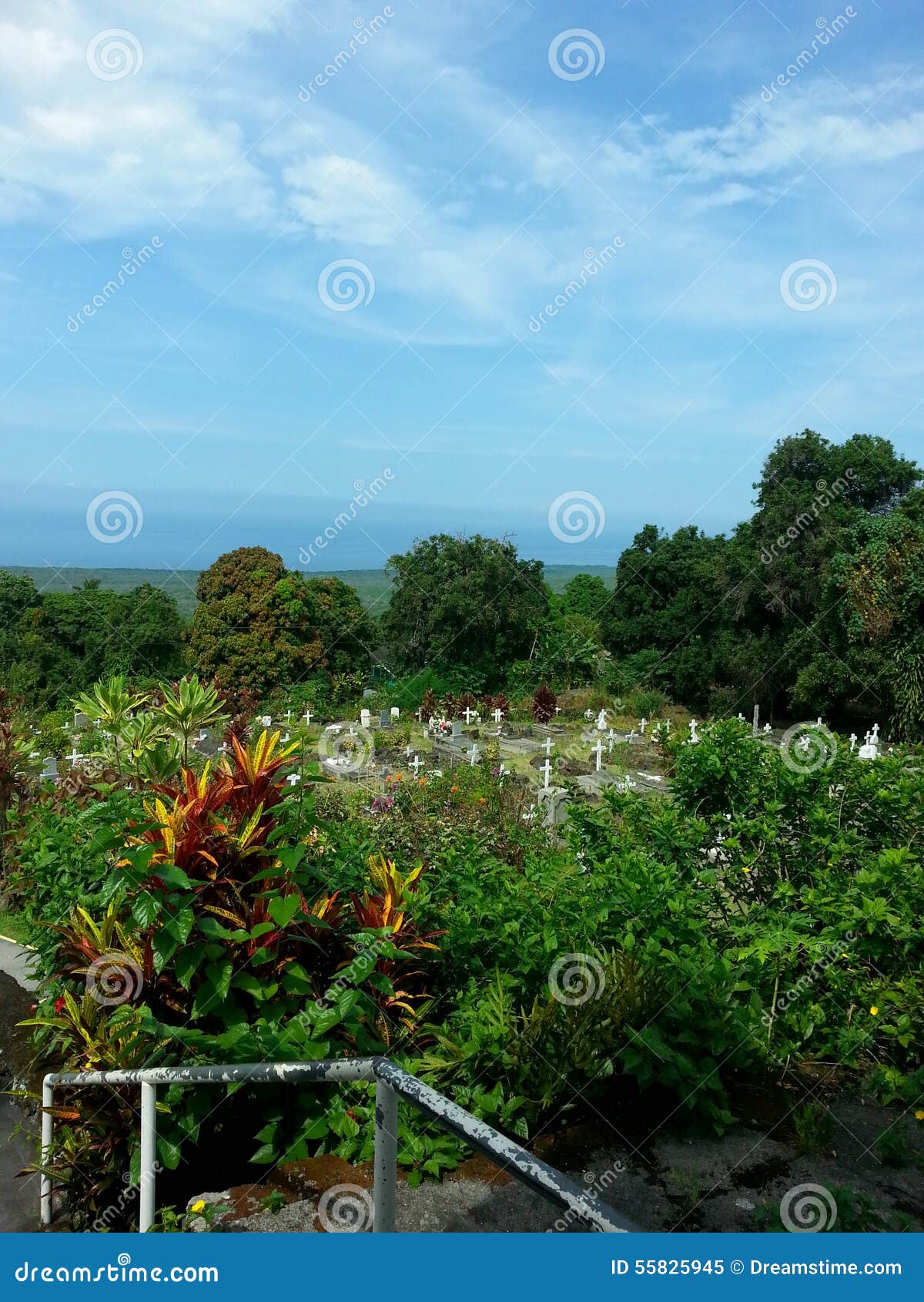 Hawaiian Graveyard stock image. Image of coffin, tropical - 55825945