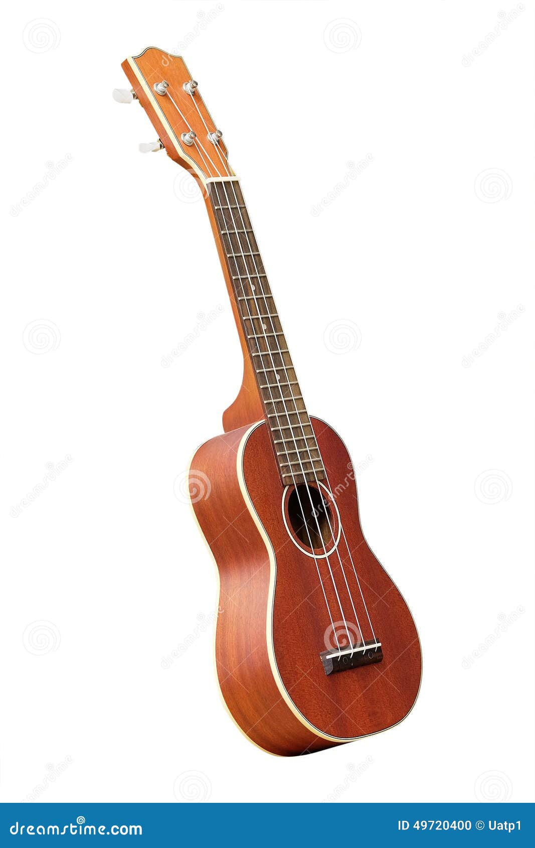 Hawaiian guitar stock photo. Image of concert, popular - 49720400